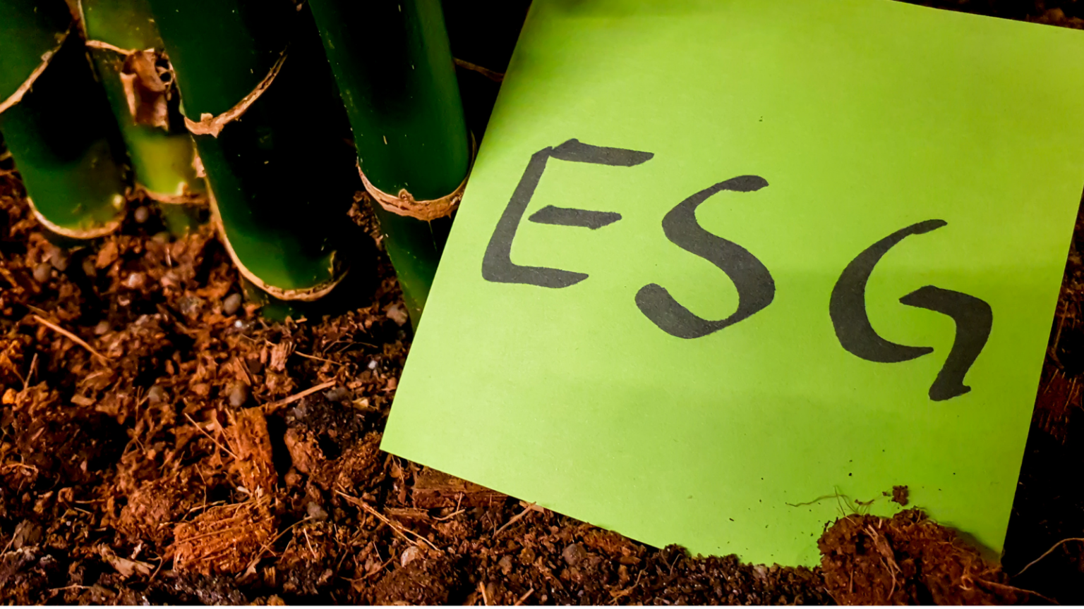 Are your workplace LED lights too bright? - Energy Solutions Oxfordshire